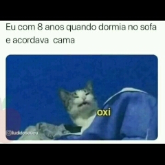 Piadas e Videos - "Piadas e Vídeos em memes"cama