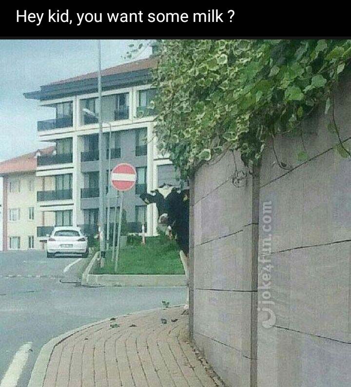 Joke4Fun Memes: Psssst