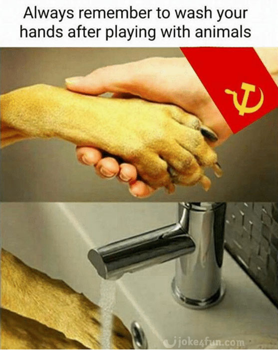 Joke4Fun Memes: Always remember