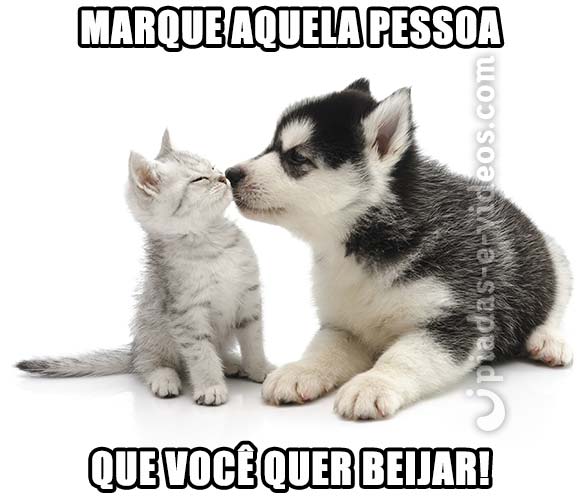 Meme De Beijo Engracado